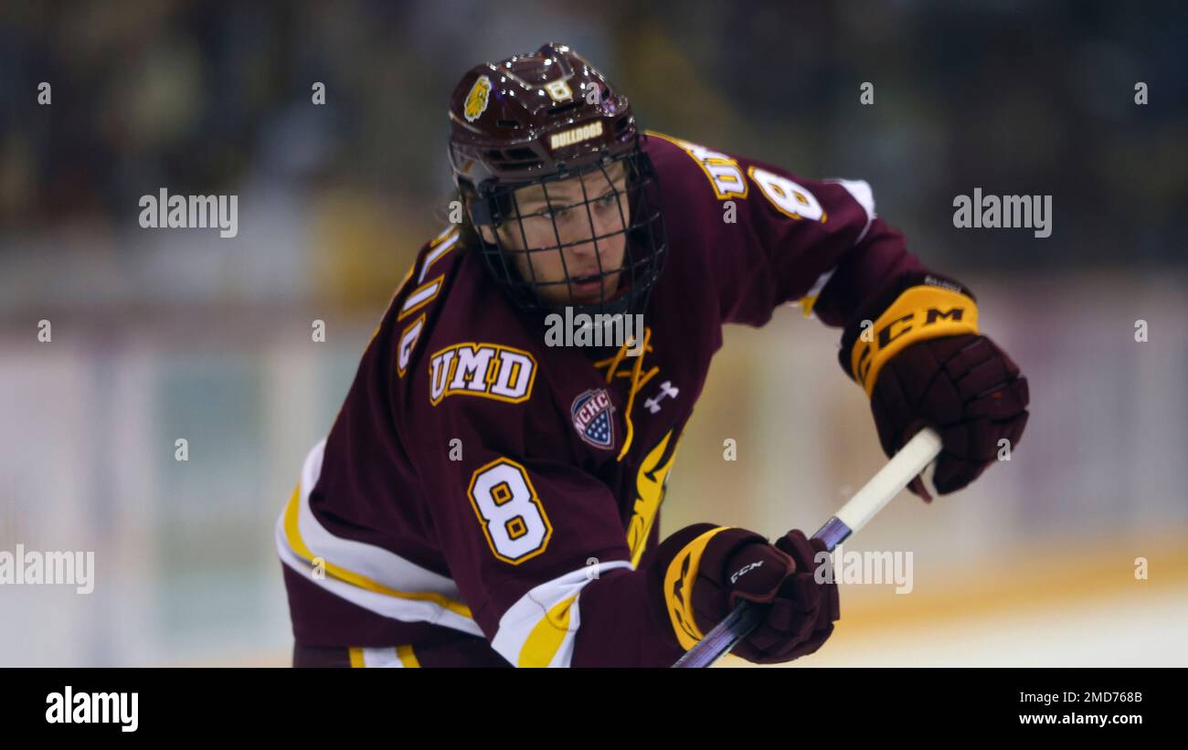 Minnesota Duluth defenseman Hunter Lellig (8) during an NCAA hockey ...