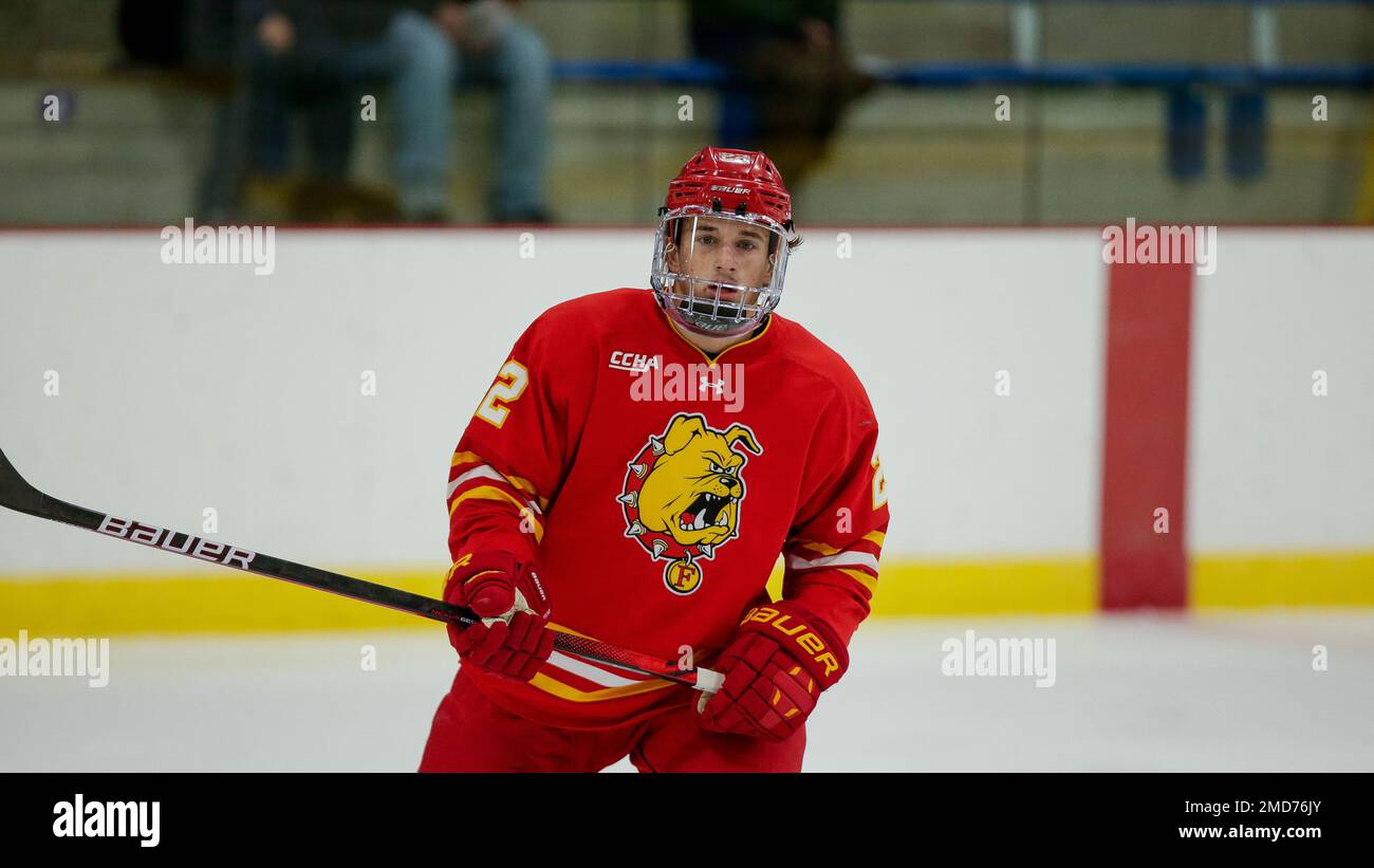 Ferris State's Luke Farthing during an NCAA hockey game on Friday, Oct ...