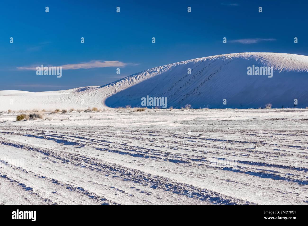 Hard ridges of sand between blowing dunes in the gypsum dunes of White ...