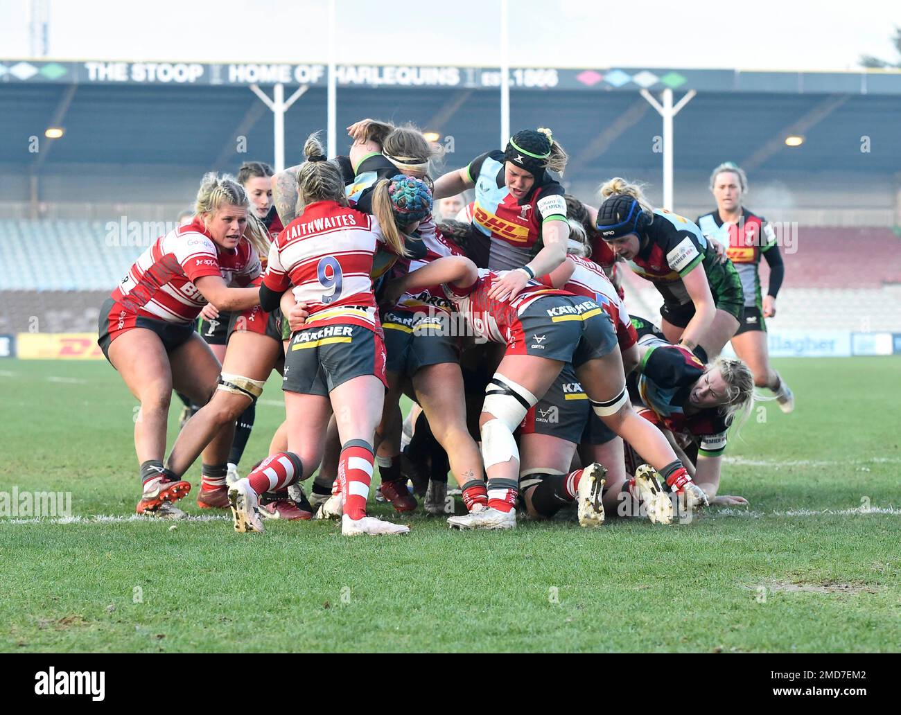 Gloucester hartpury rugby 2023 hi-res stock photography and images - Alamy