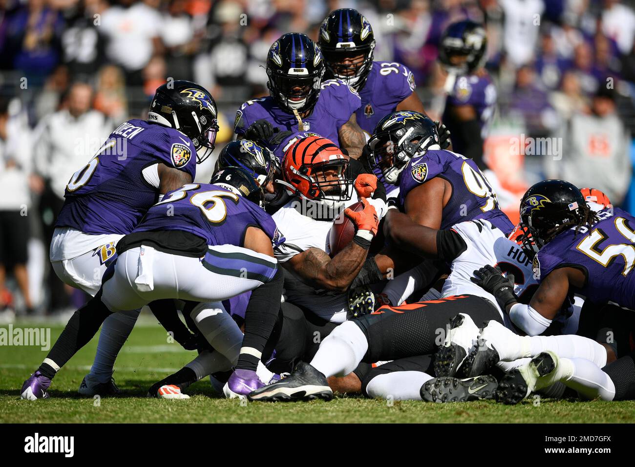 Cincinnati Bengals running back Samaje Perine, center in orange helmet ...