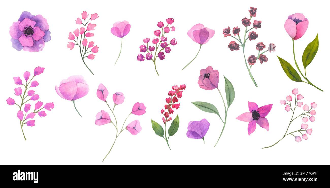 Set of watercolor flowers, hand drawn botanical illustration of flowers ...