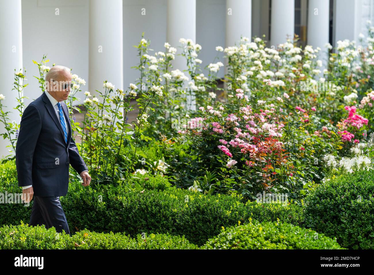 Reportage: President Joe Biden walks through the Rose Garden of the ...