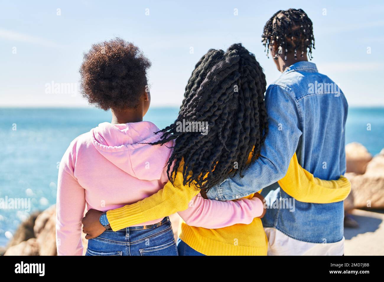 African american friends hugging each other on back view at seaside ...