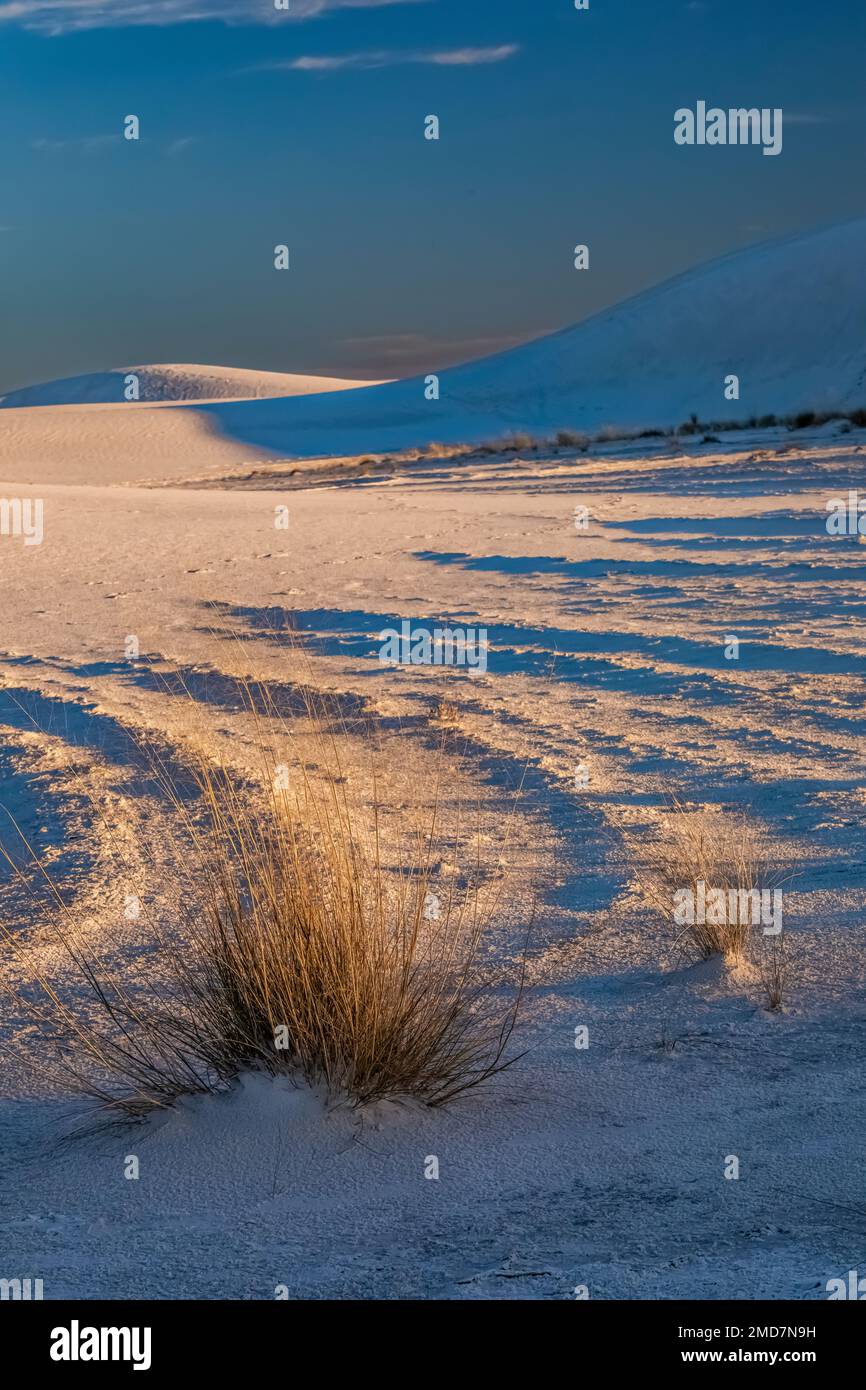 Hard ridges of sand between blowing dunes in the gypsum dunes of White ...
