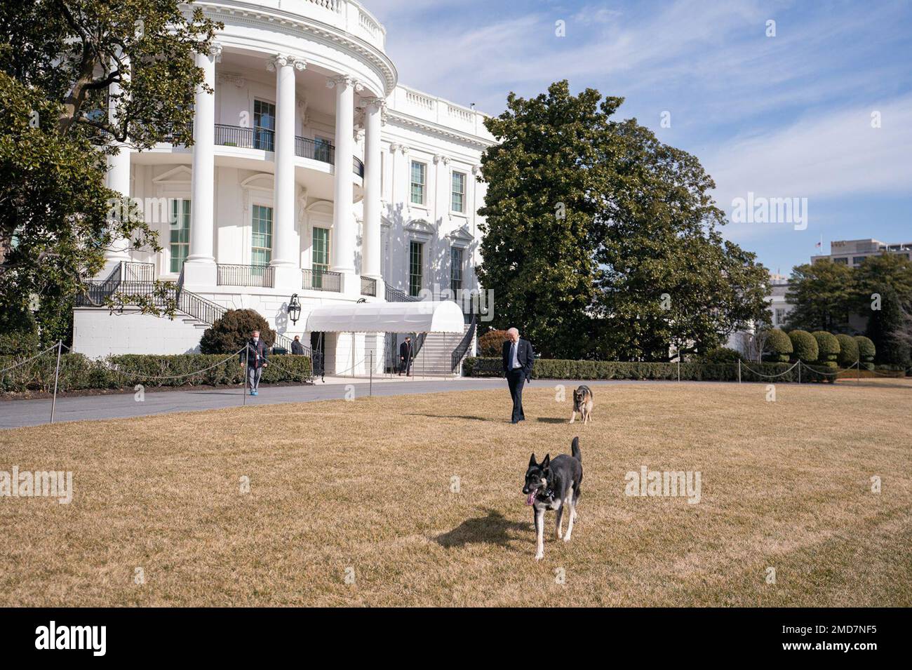 Reportage: President Joe Biden walks with the Biden family dogs, Champ ...