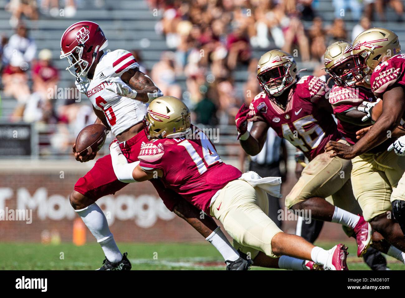 Florida State defensive end Marcus Cushnie (14) drags down a scrambling ...