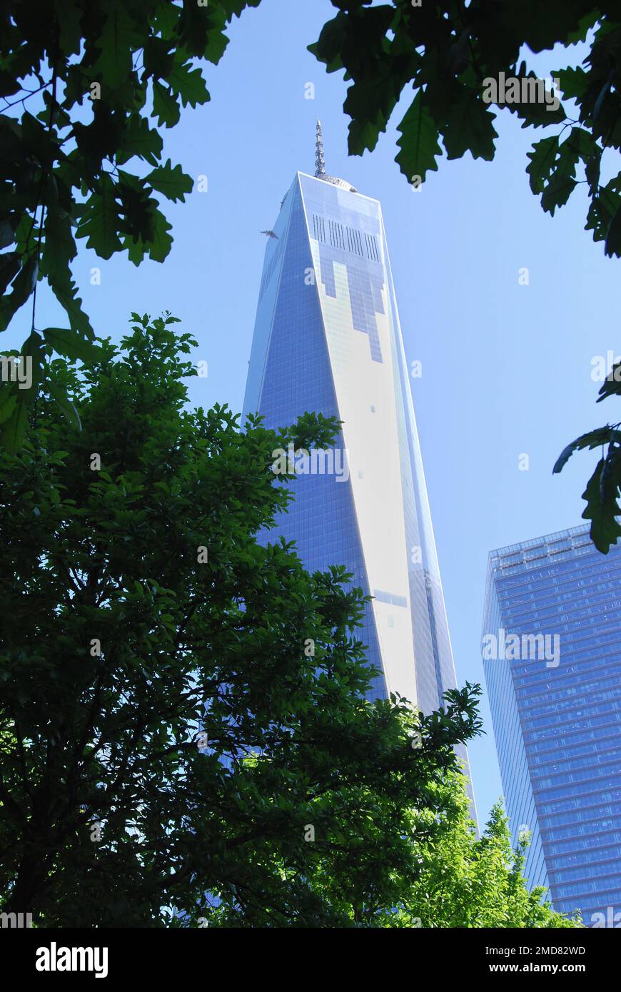 Looking through foliage up to the One World Trade Center at 285 Fulton ...