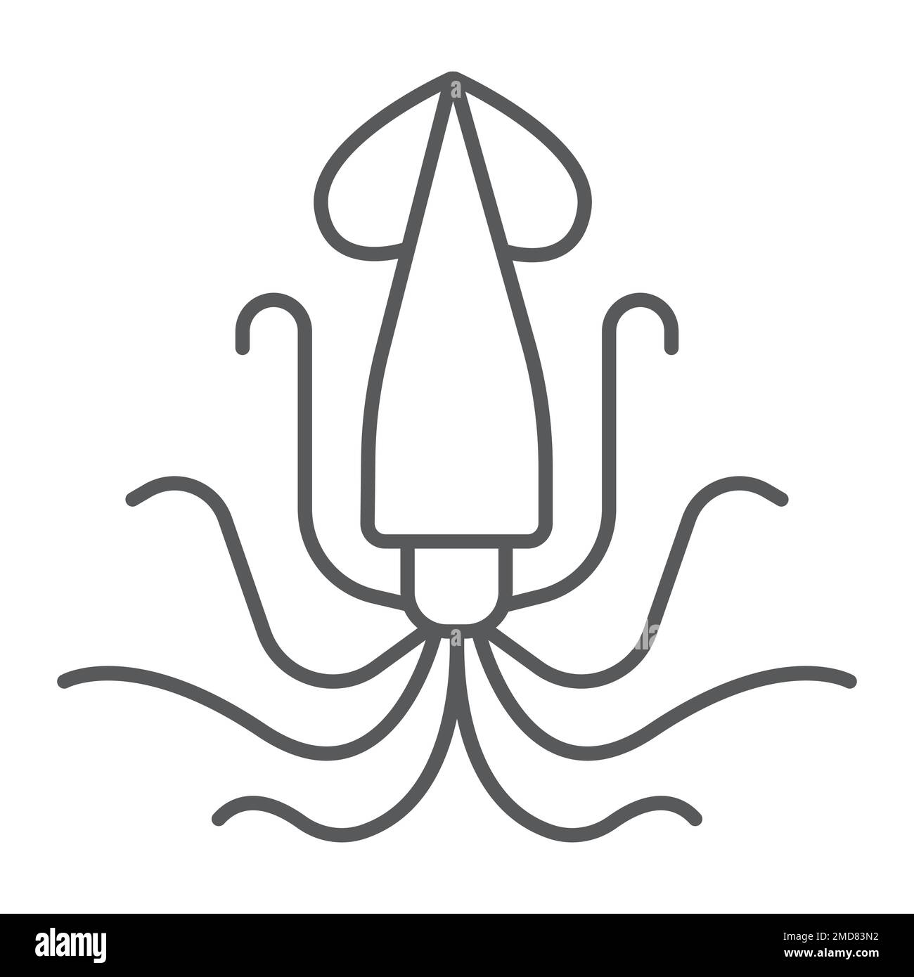 Squid thin line icon, animal and underwater, aquatic sign vector ...