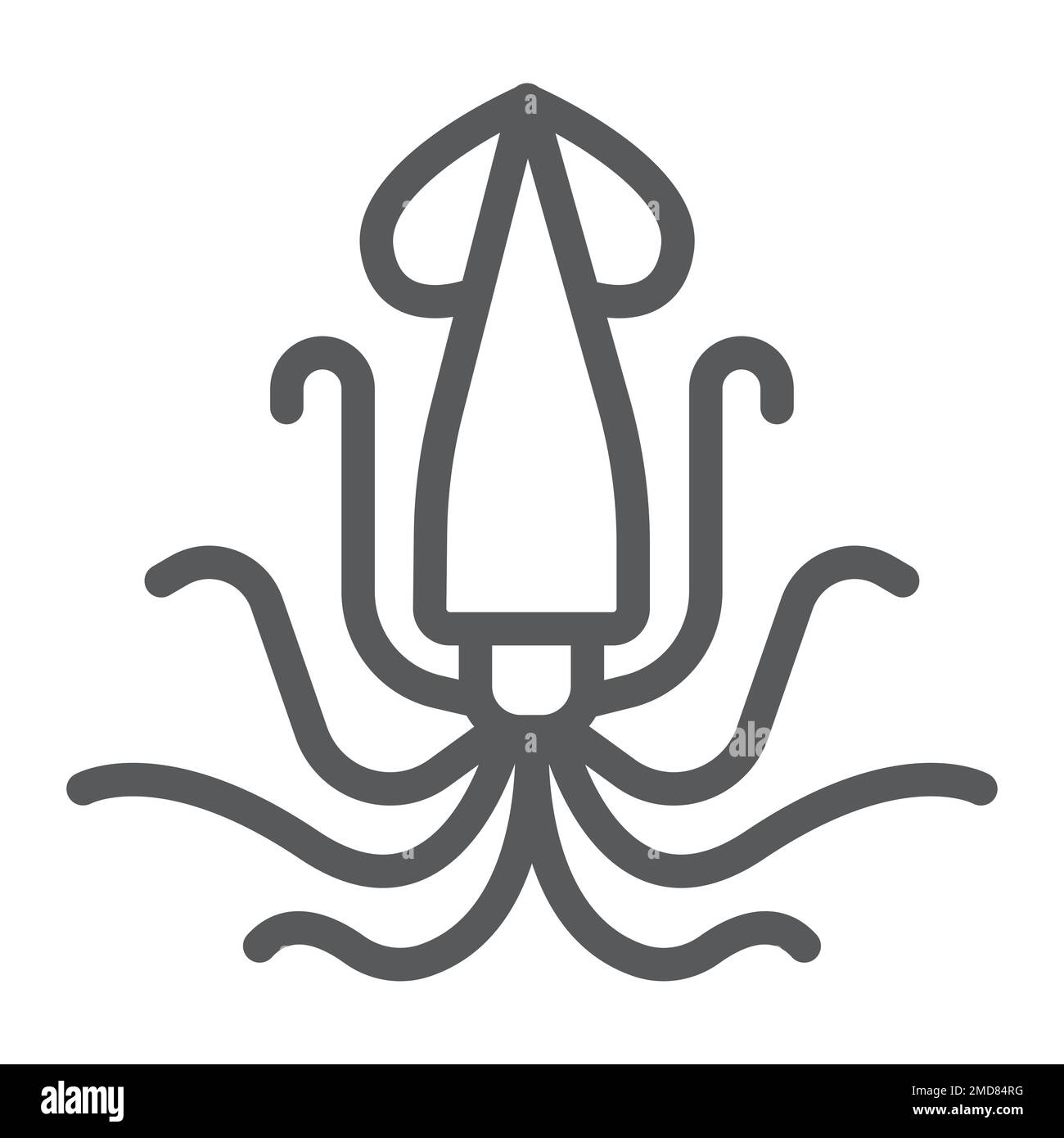 Squid line icon, animal and underwater, aquatic sign vector graphics, a ...