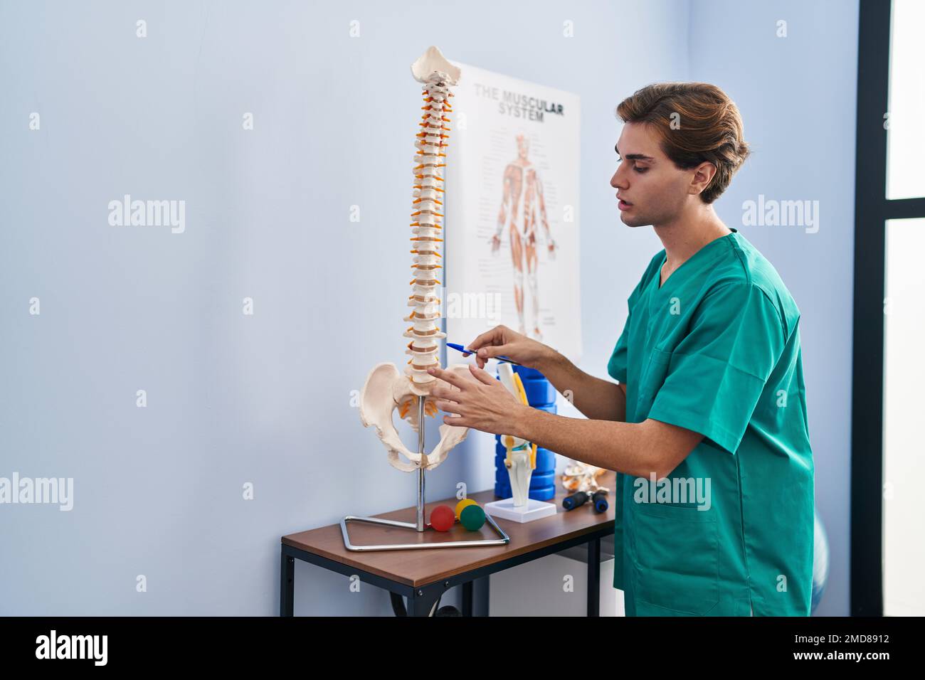 Young caucasian man physiotherapist touching anatomical model of spinal ...