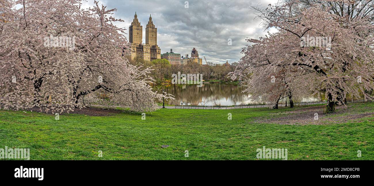 Spring in Central Park, New York City, early in the morning Stock Photo ...