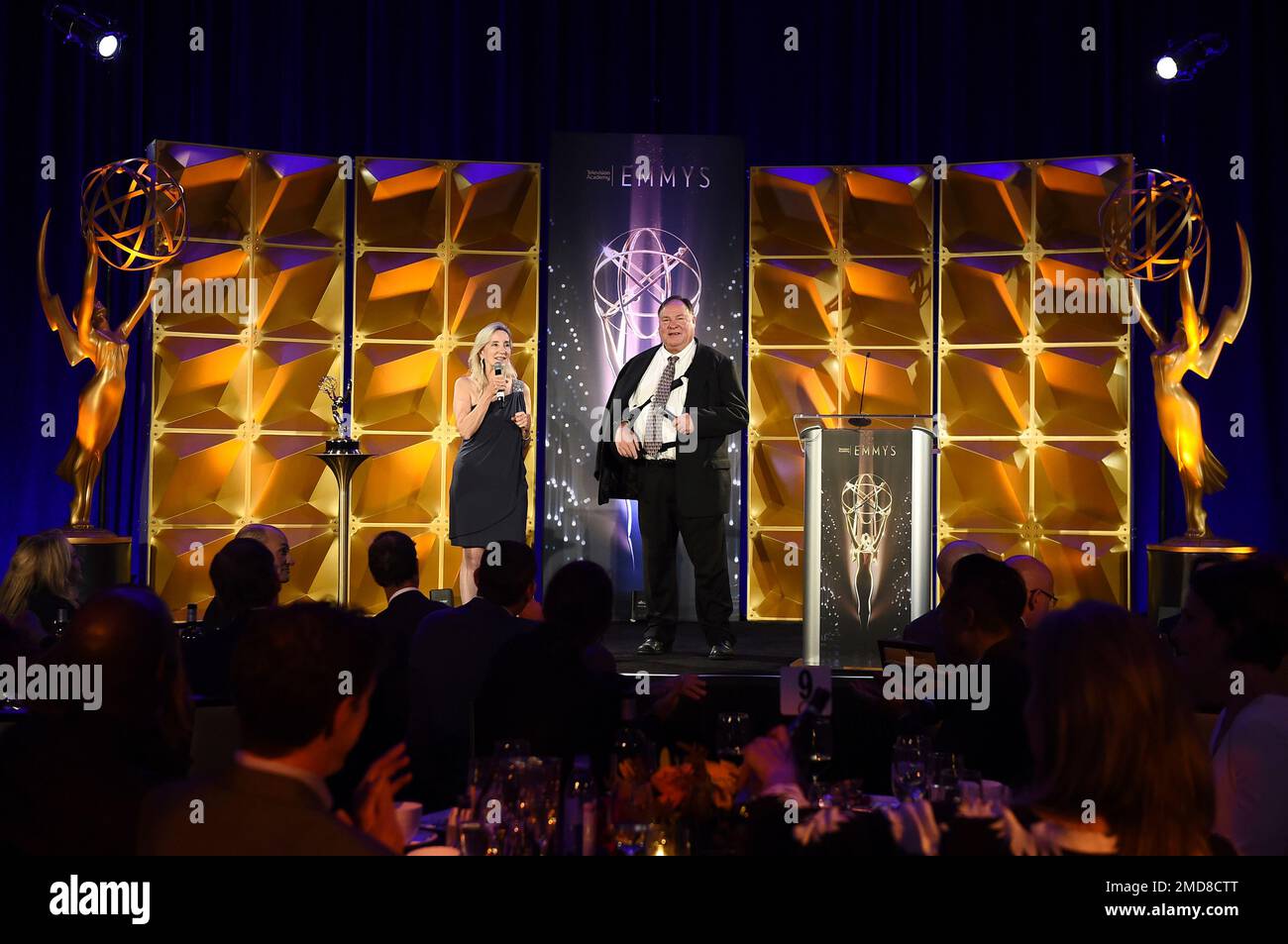 Television Academy Engineering Committee members Wendy Aylsworth, left ...