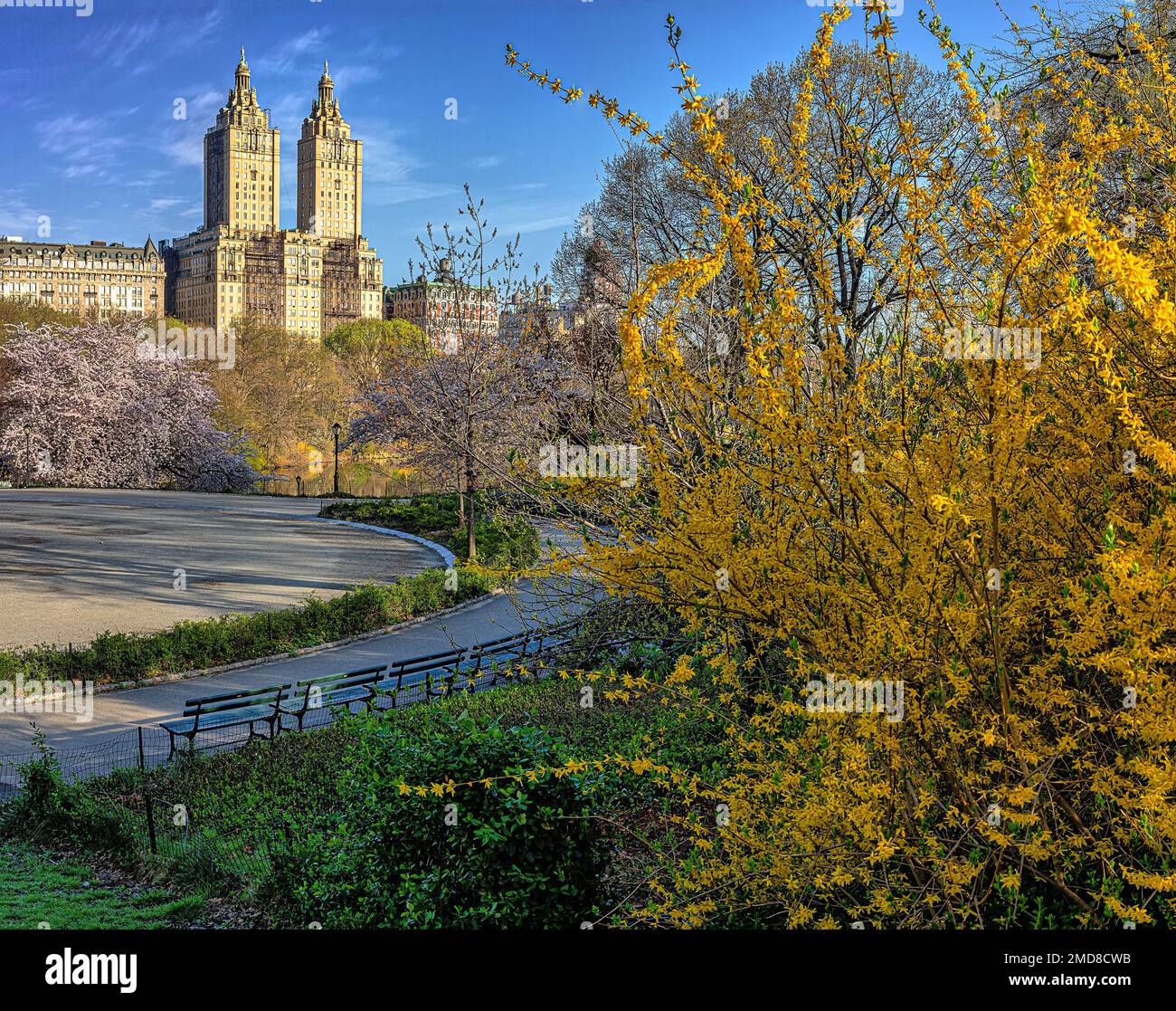Spring in Central Park, New York City, early in the morning Stock Photo ...