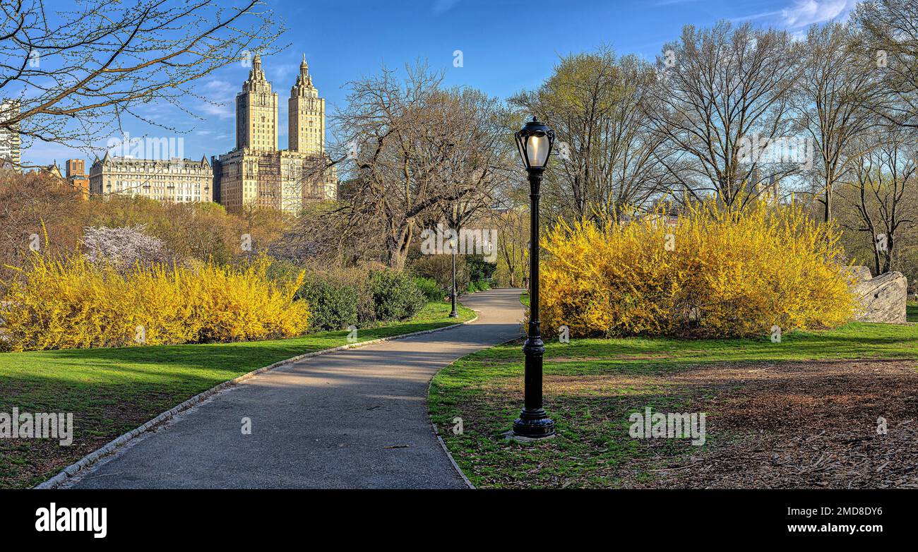 Spring in Central Park, New York City, early in the morning Stock Photo ...