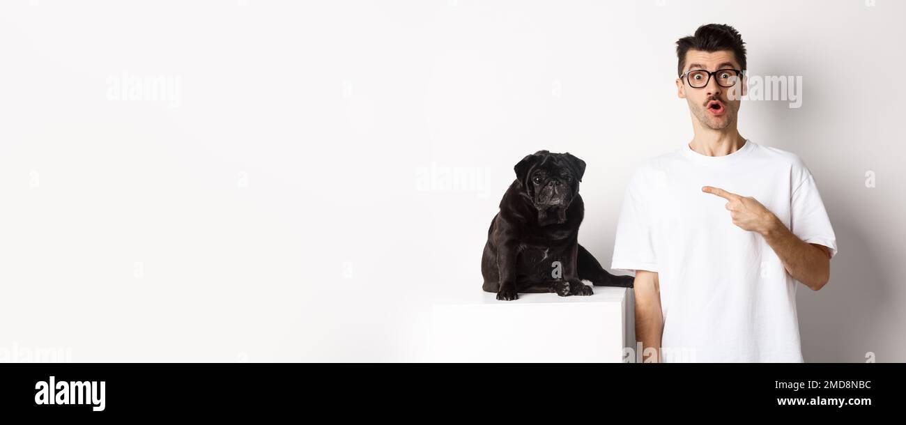 Happy young man showing his cute dog, pointing finger at black pug and ...