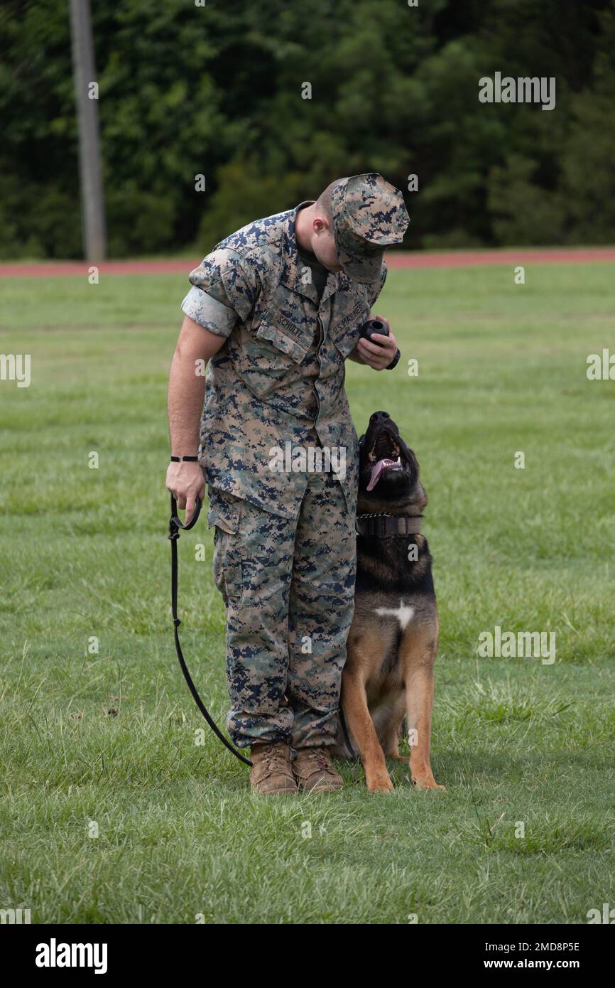 U.S. Marine Corps Cpl. Cody Schultz, the Chief Trainer for Military ...