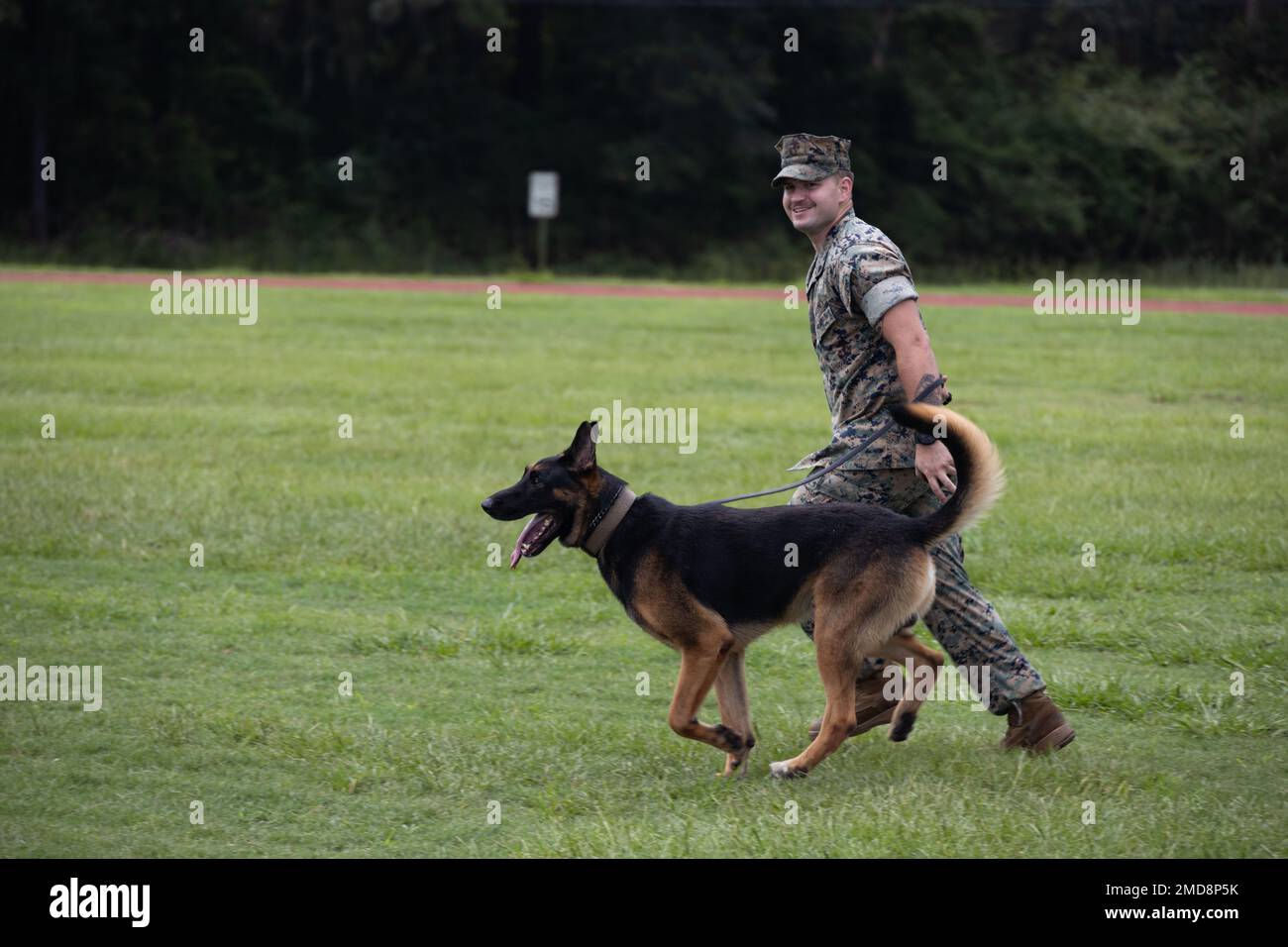 U.S. Marine Corps Cpl. Cody Schultz, the Chief Trainer for Military ...