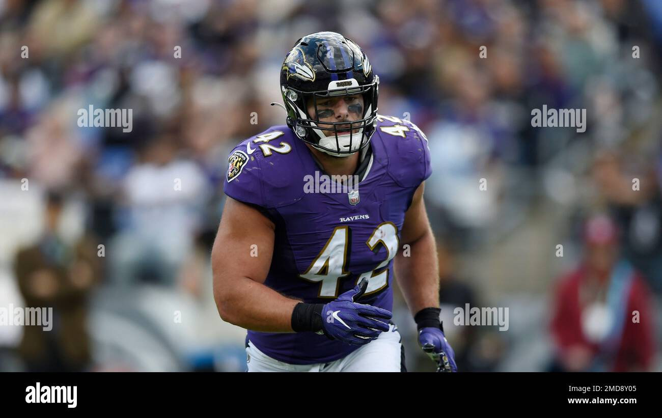 Baltimore Ravens fullback Patrick Ricard runs a route against the Los ...