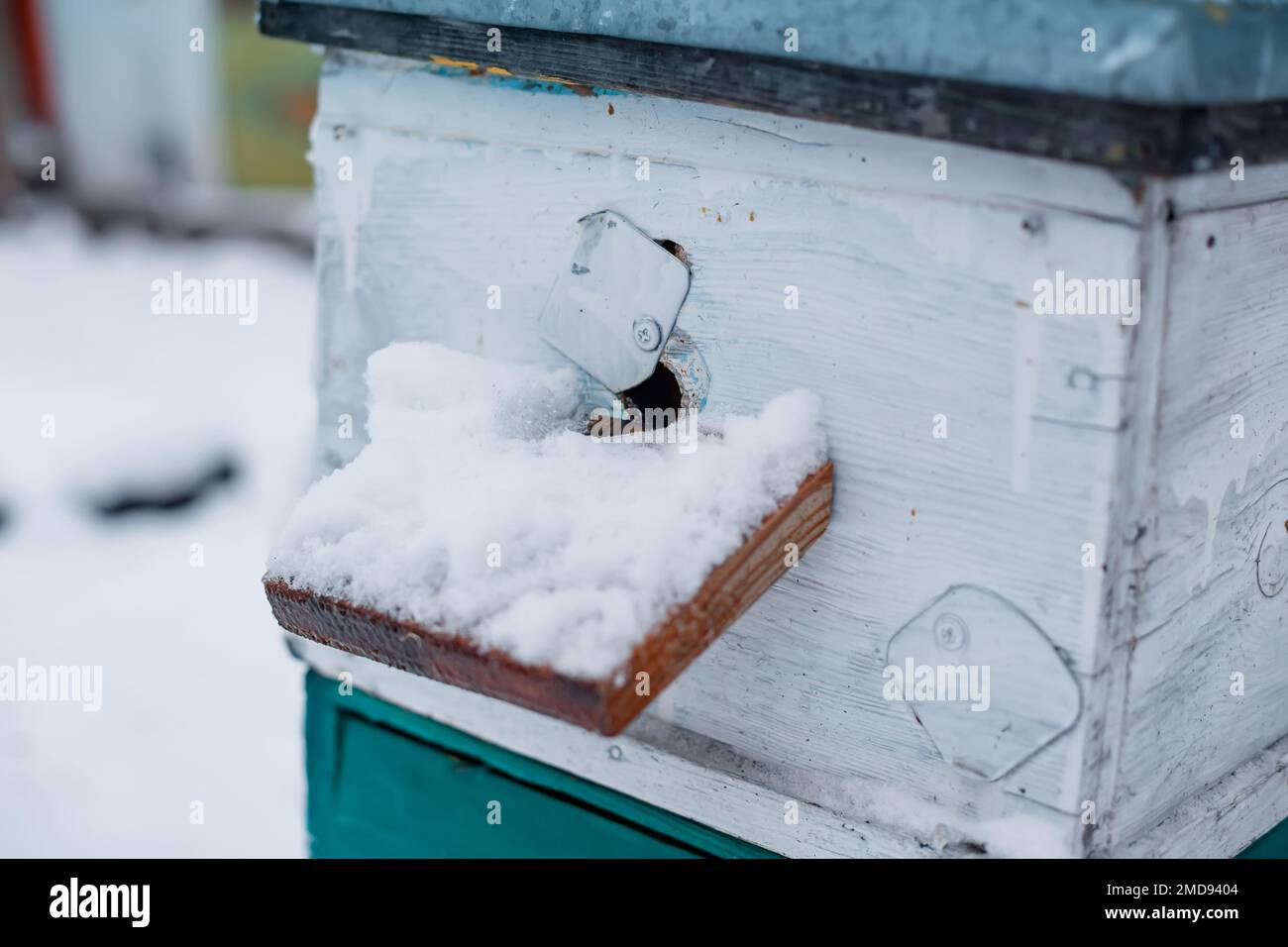 Beehive entrance covered with thick layer of snow. beehives in garden ...