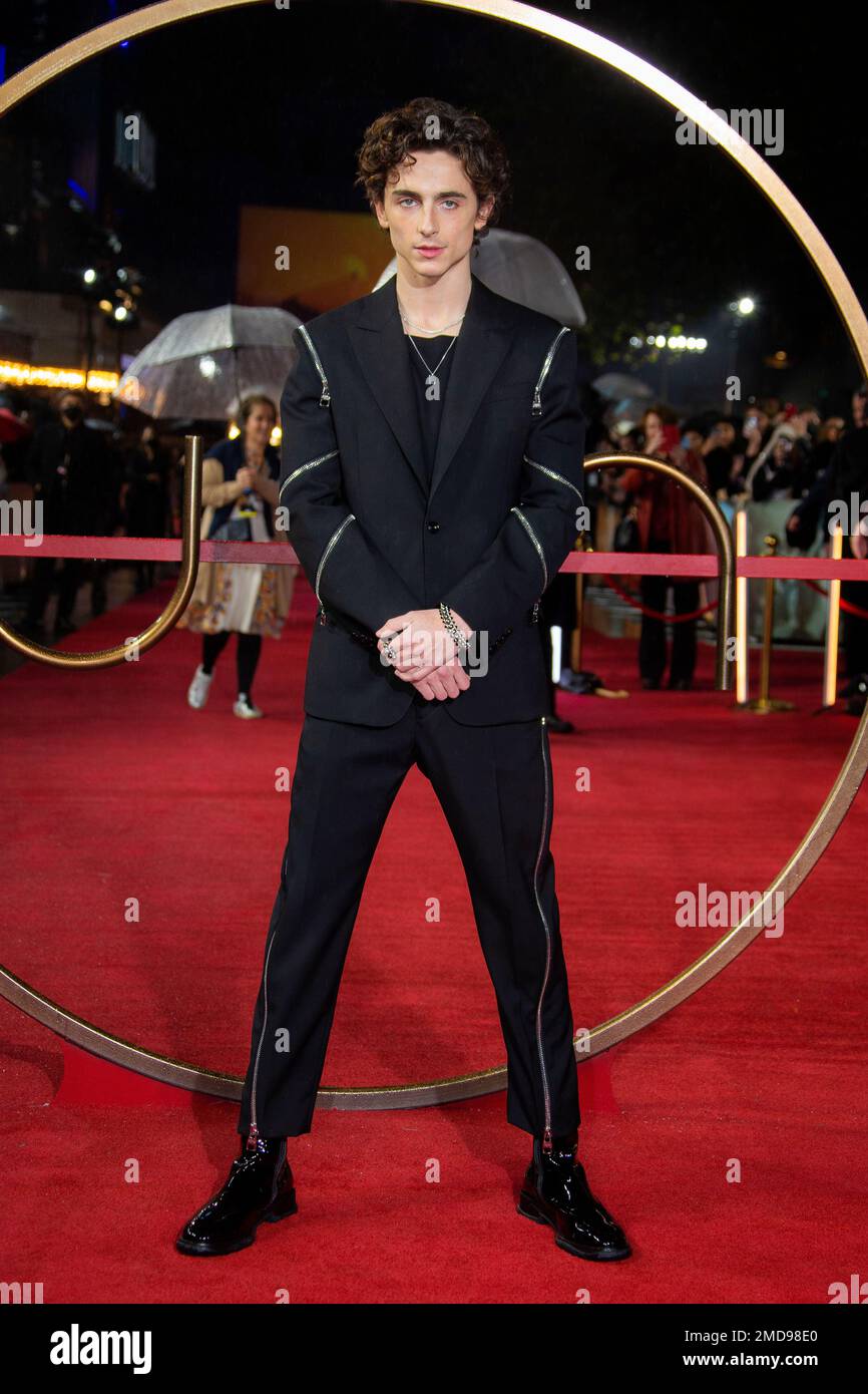Timothee Chalamet poses for photographers upon arrival at the premiere ...