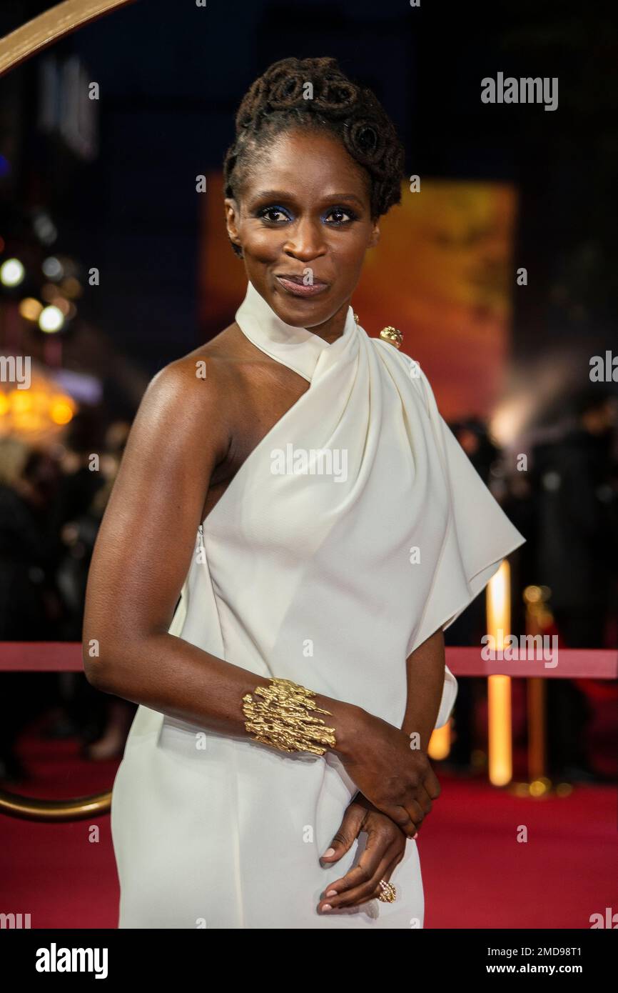 Sharon Duncan Brewster poses for photographers upon arrival at the ...