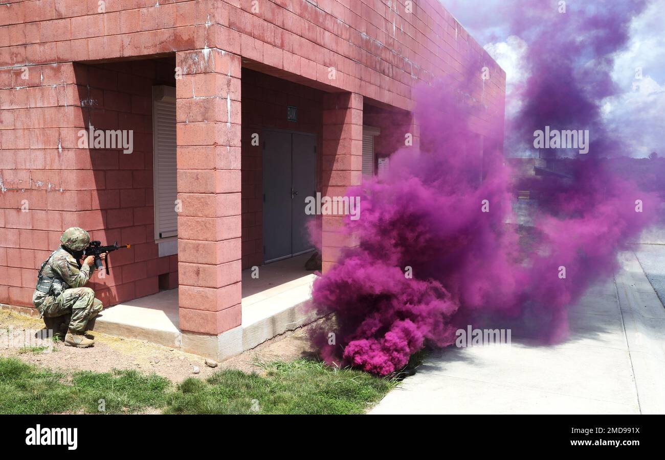 Troop concealment hi-res stock photography and images - Alamy