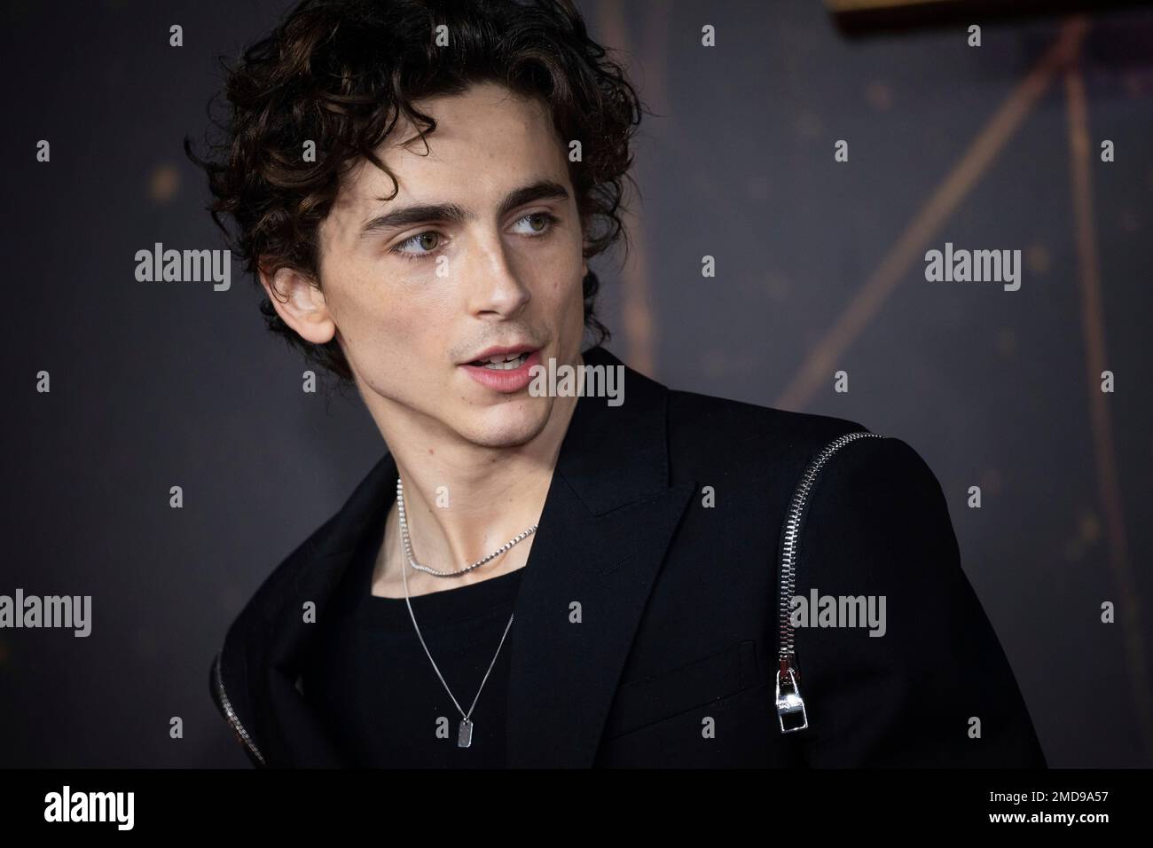 Timothee Chalamet poses for photographers upon arrival at the premiere ...