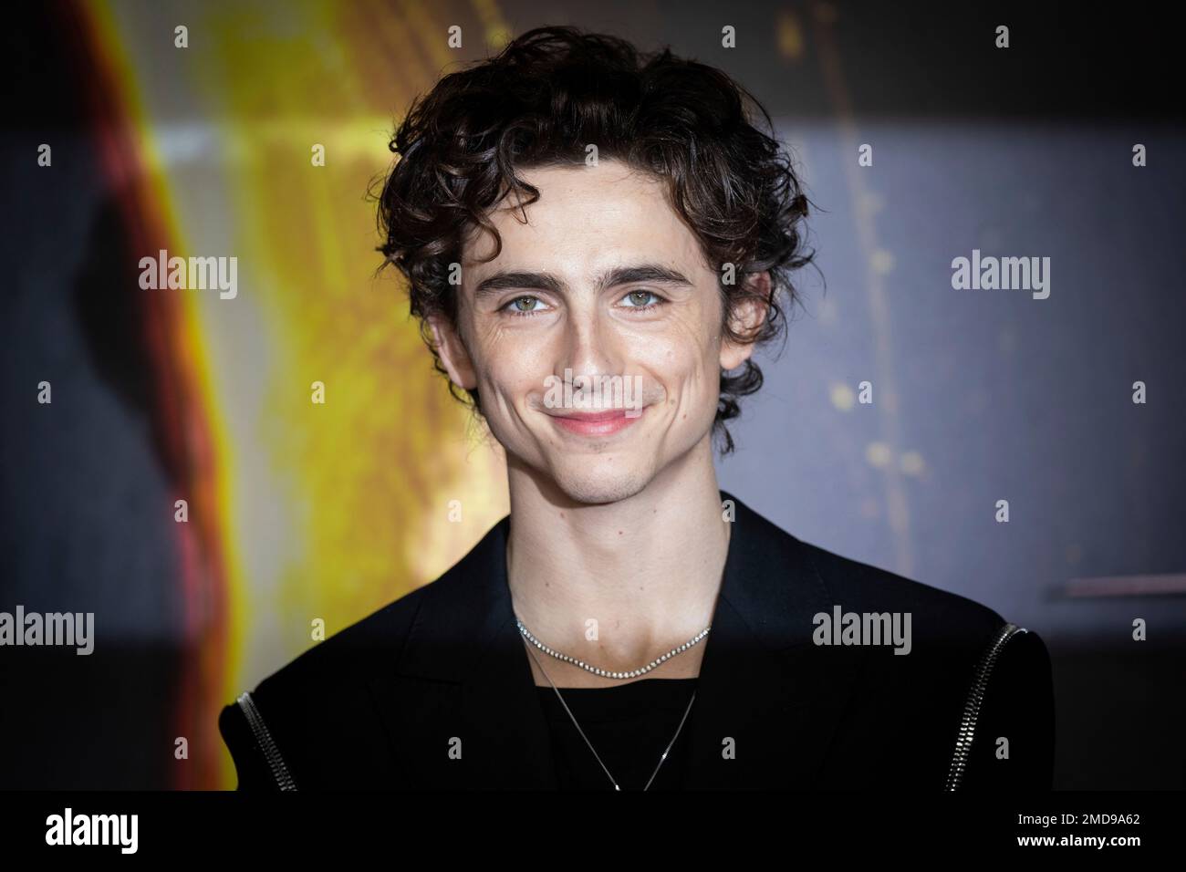 Timothee Chalamet poses for photographers upon arrival at the premiere ...