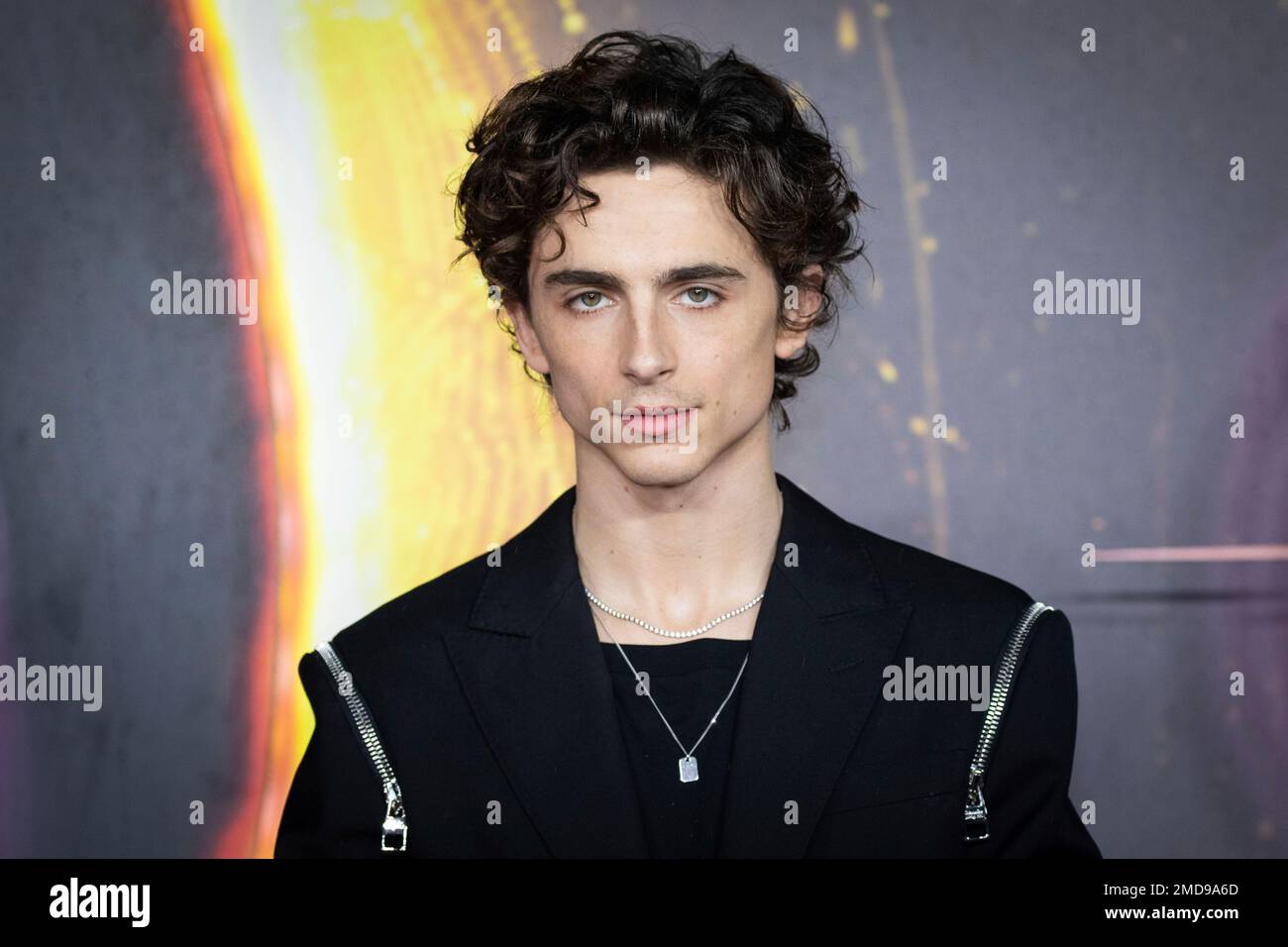 Timothee Chalamet poses for photographers upon arrival at the premiere ...