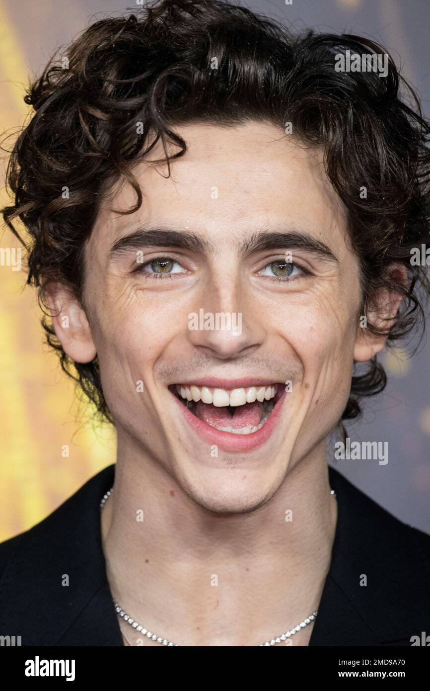 Timothee Chalamet poses for photographers upon arrival at the premiere ...