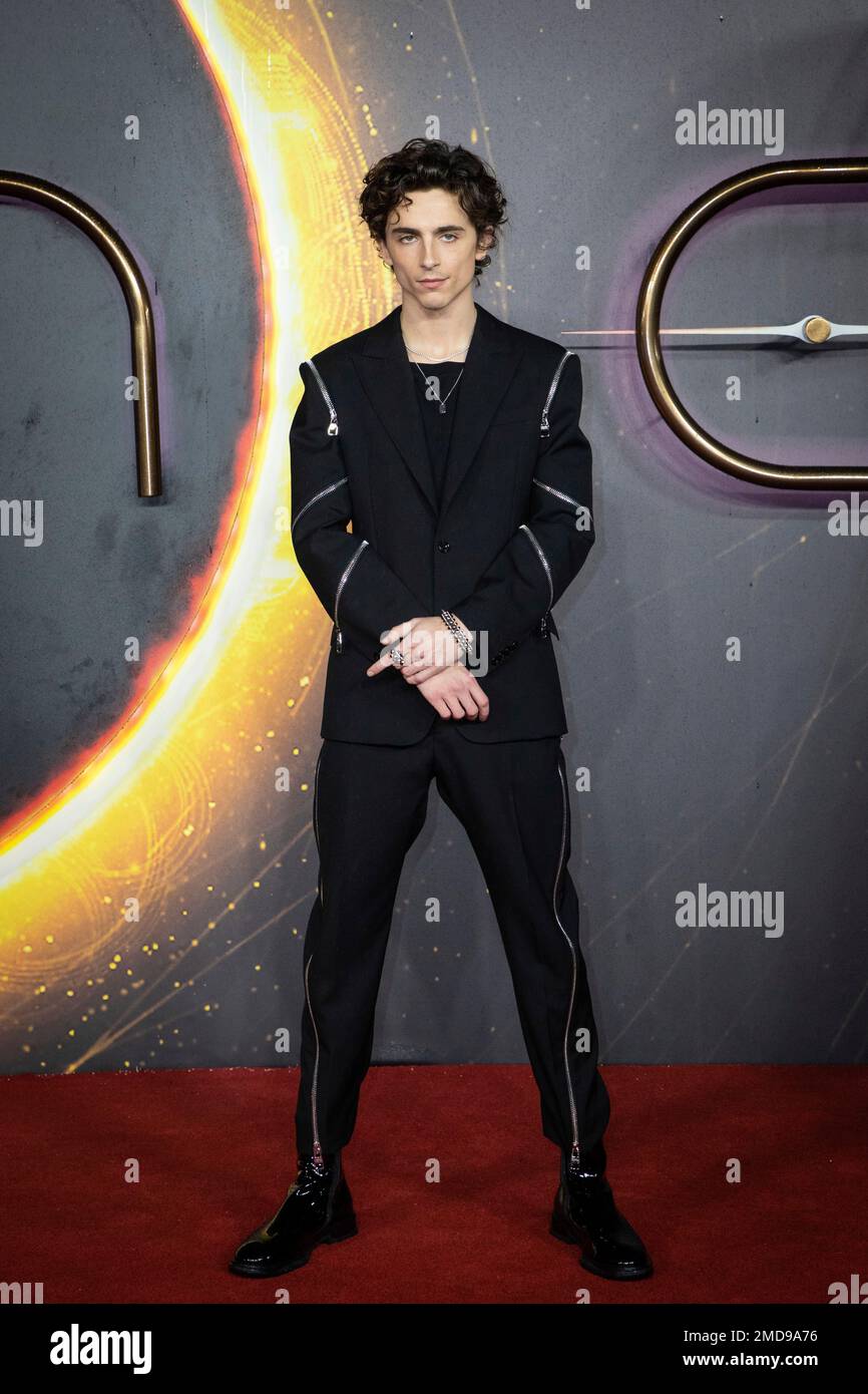 Timothee Chalamet poses for photographers upon arrival at the premiere ...