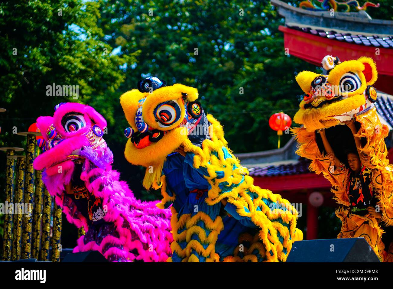 The Lion dance or Barongsai in chinese new year 2023. Semarang. Indonesia. Travel Photography ...