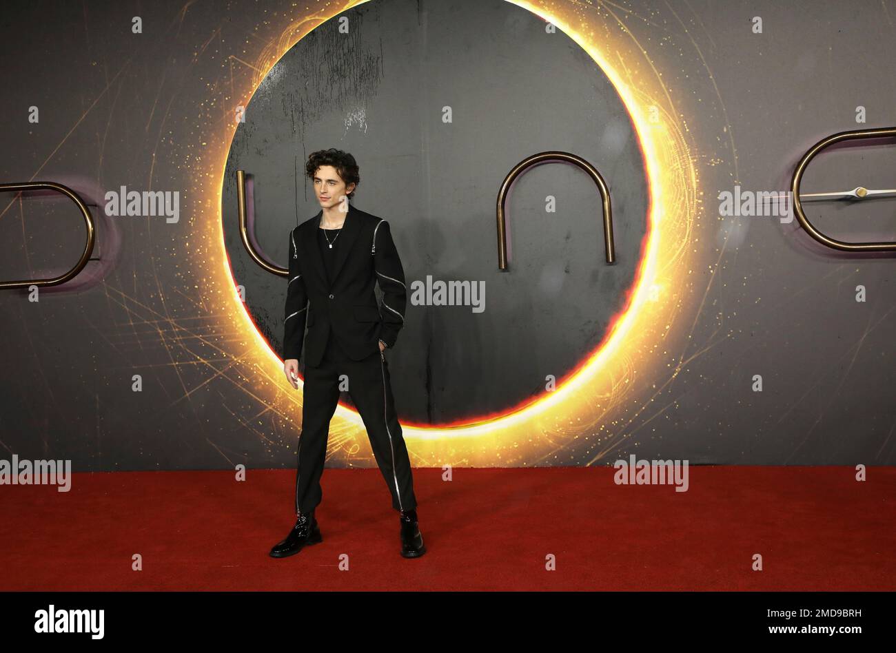 Timothee Chalamet poses for photographers upon arrival at the premiere ...