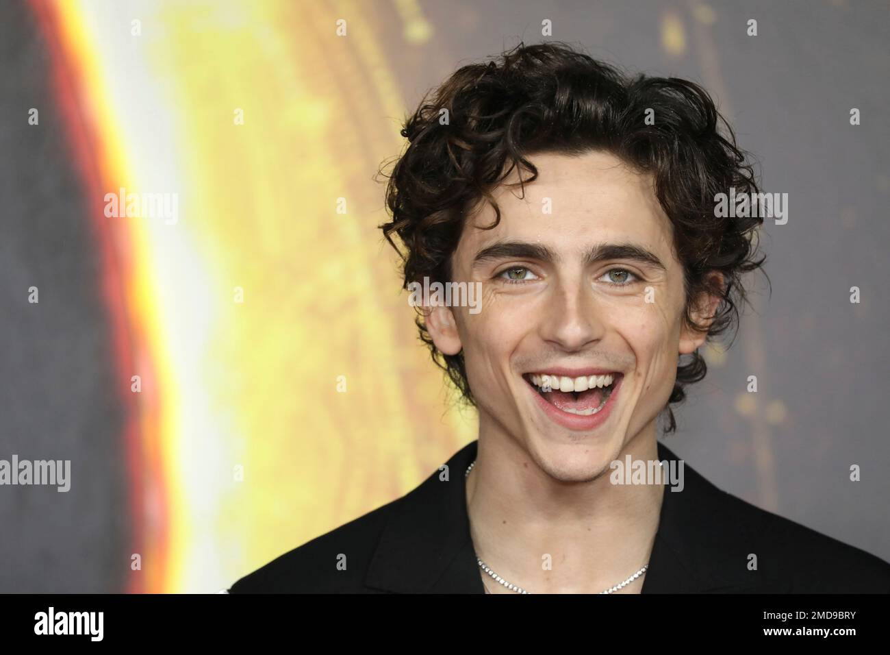 Timothee Chalamet poses for photographers upon arrival at the premiere ...