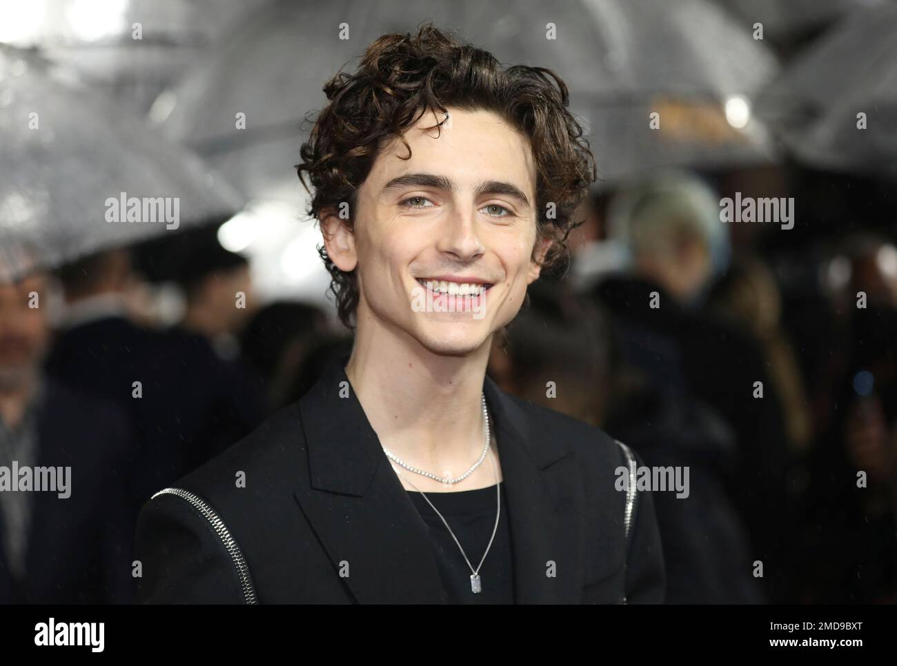 Timothee Chalamet poses for photographers upon arrival at the premiere ...