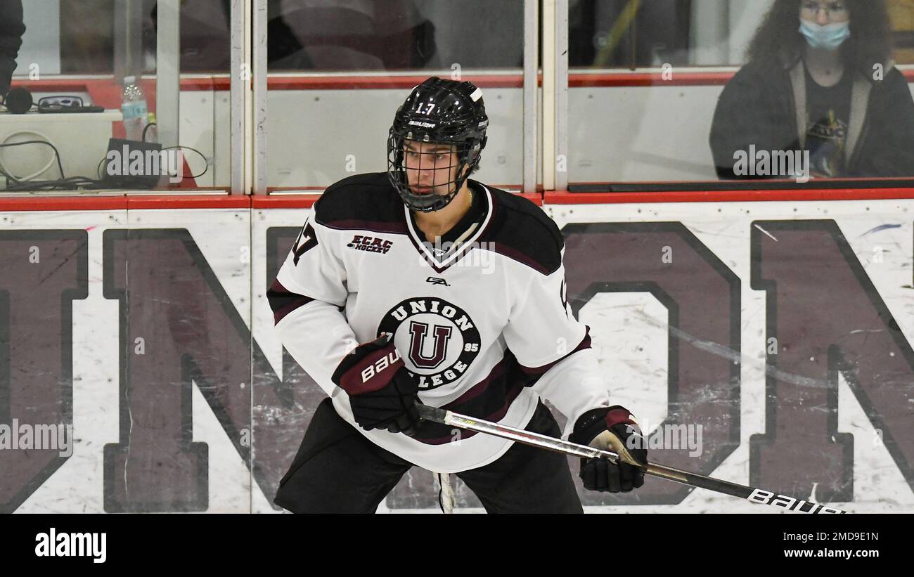 Union forward Matt Allen (17) during an NCAA hockey game against ...