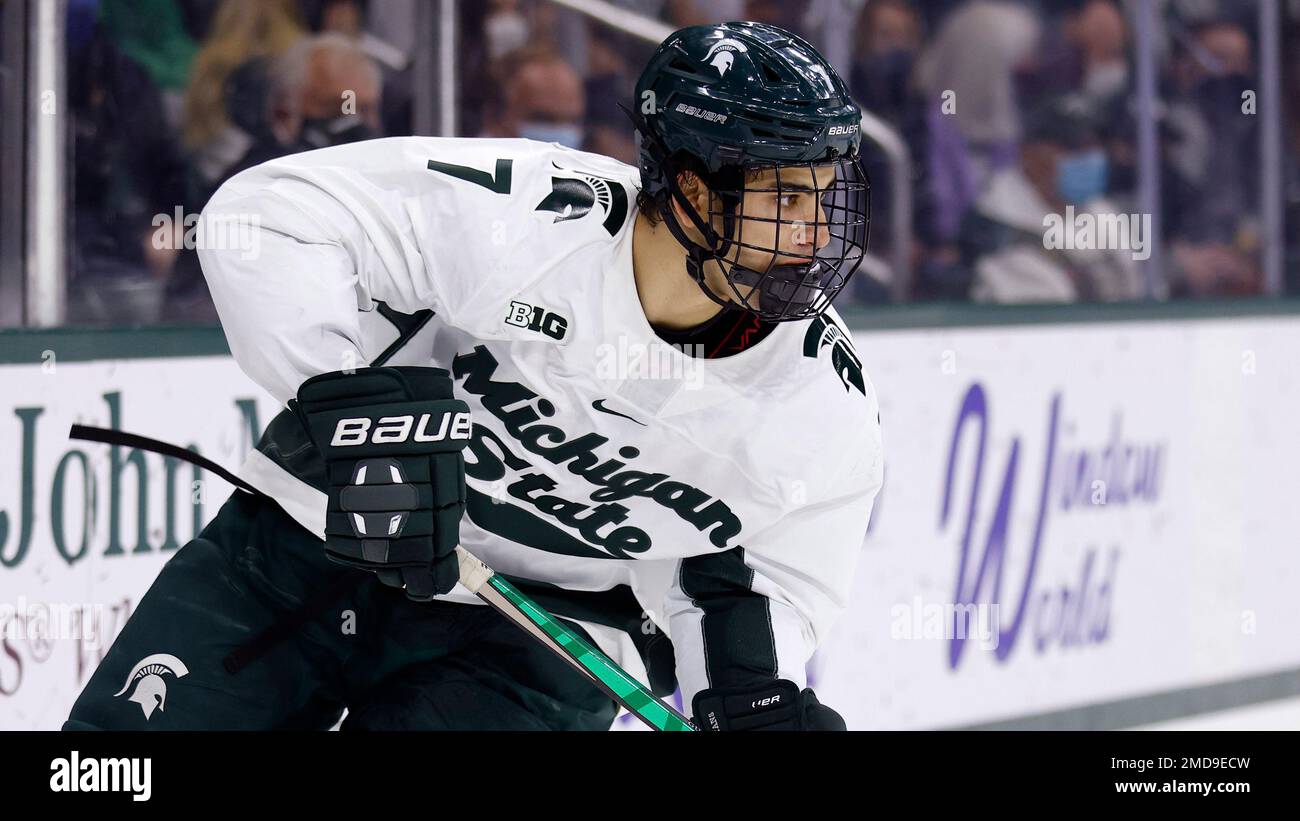 Michigan State's David Gucciardi plays during an NCAA hockey game on ...