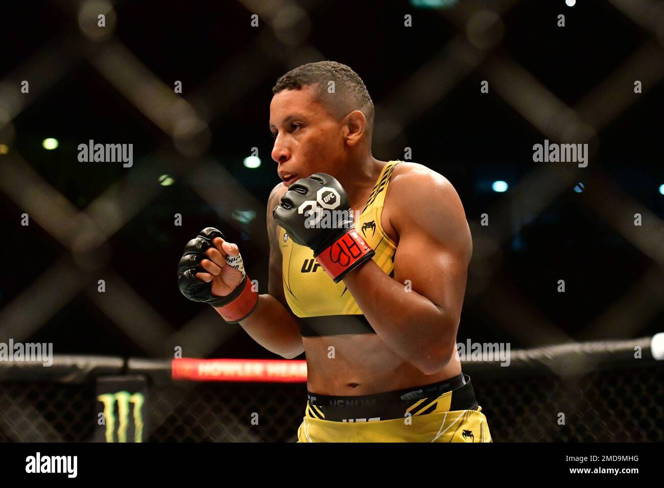 Zarah fairn dos santos hi-res stock photography and images - Alamy