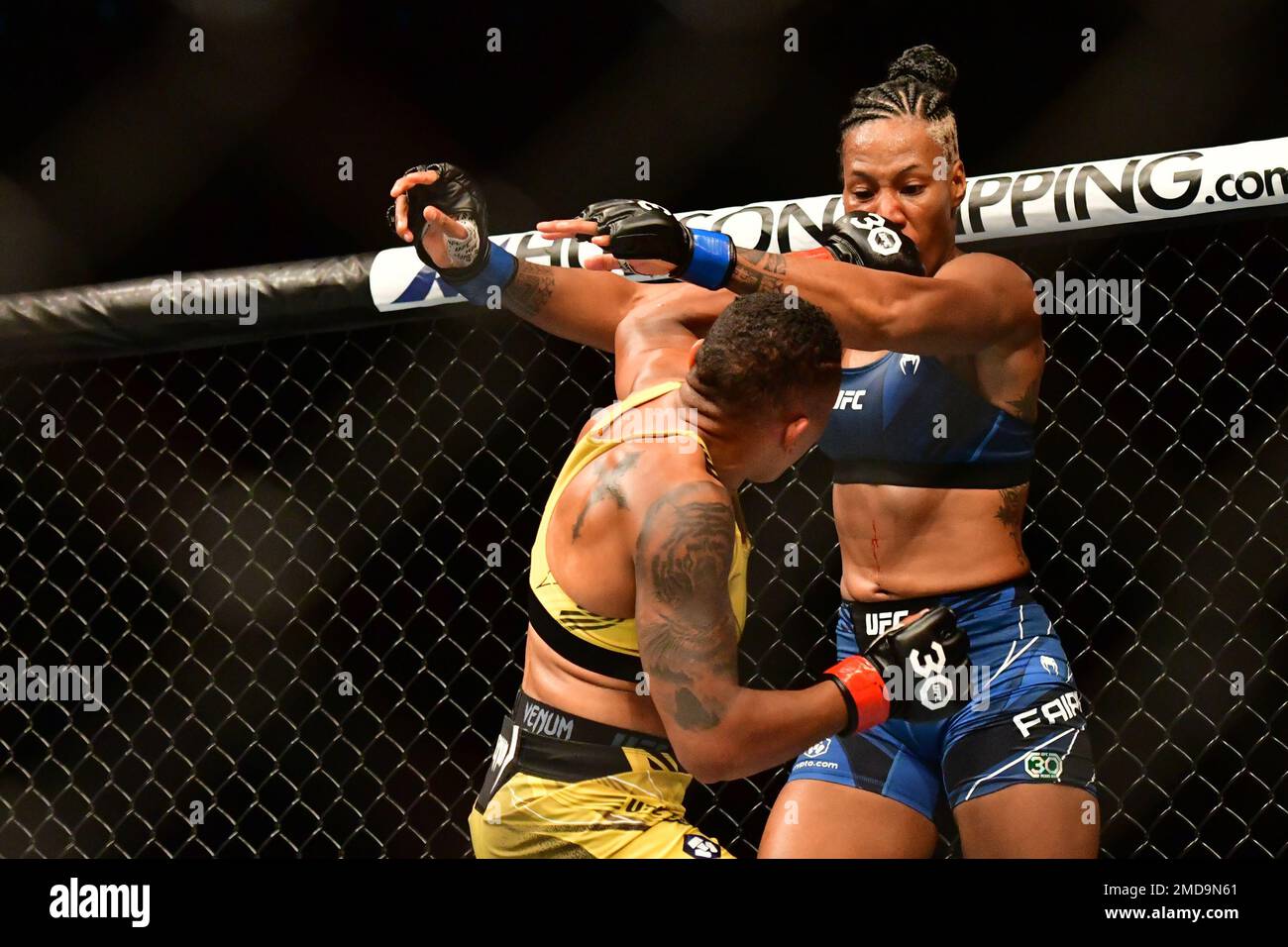 Zarah fairn dos santos hi-res stock photography and images - Alamy