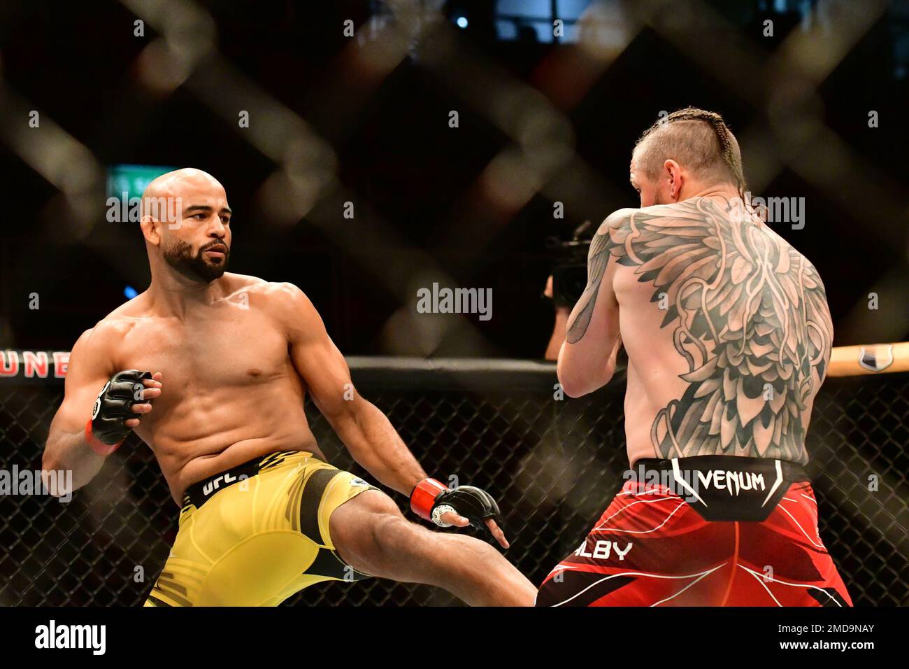RIO DE JANEIRO, RJ - JANUARY 21: Warlley Alves (red gloves) battles ...