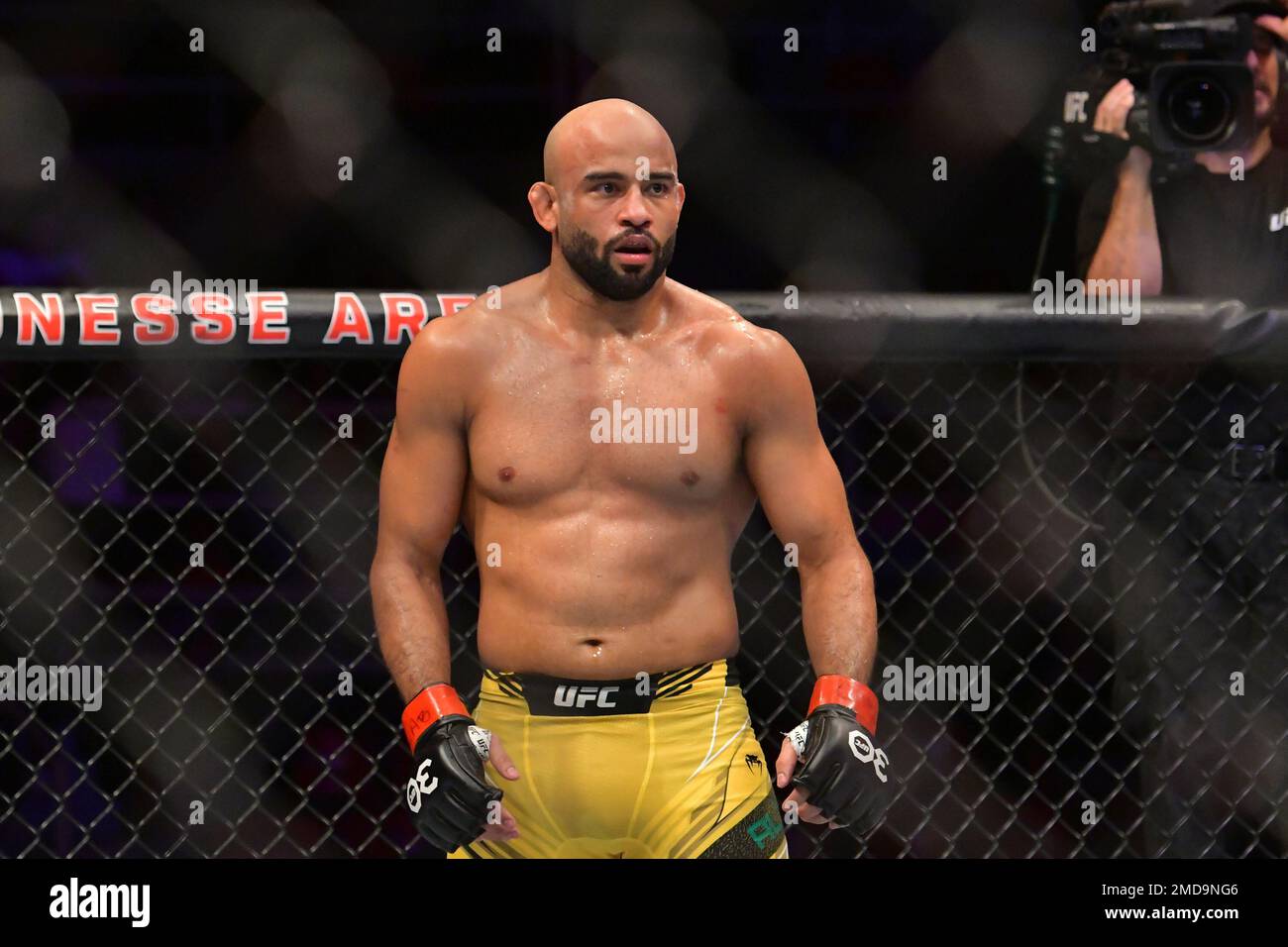 RIO DE JANEIRO, RJ - JANUARY 21: Warlley Alves (red gloves) battles ...