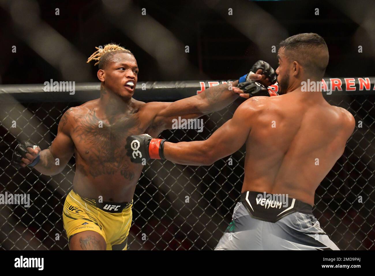 RIO DE JANEIRO, RJ - JANUARY 21: Terrance McKinney (blue gloves ...