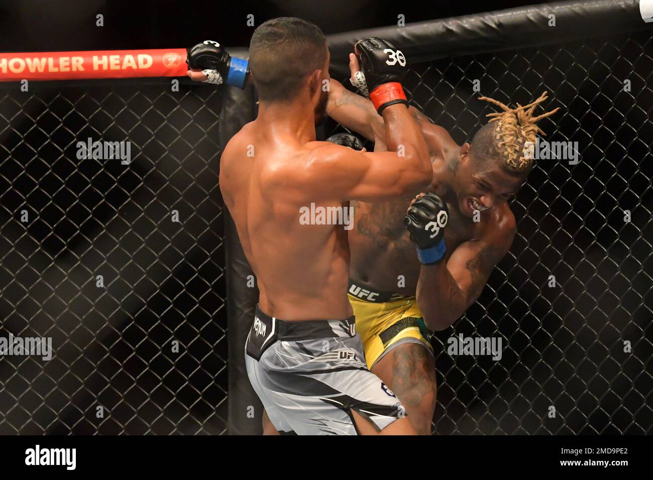 Lutas mma hi-res stock photography and images - Alamy
