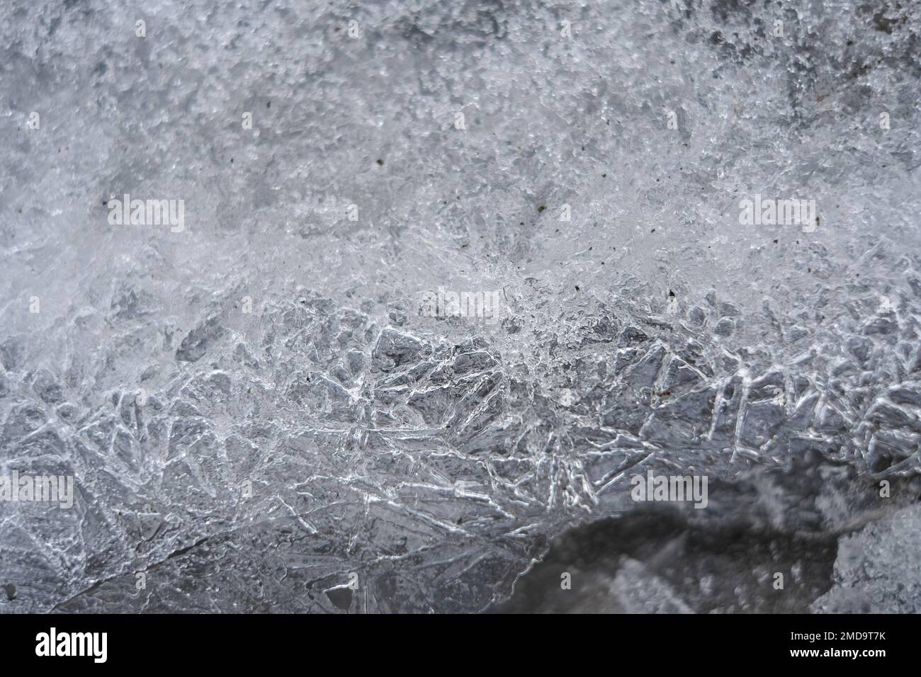 Winter frosty wallpaper. Winter nature. Natural winter texture. Ice ...