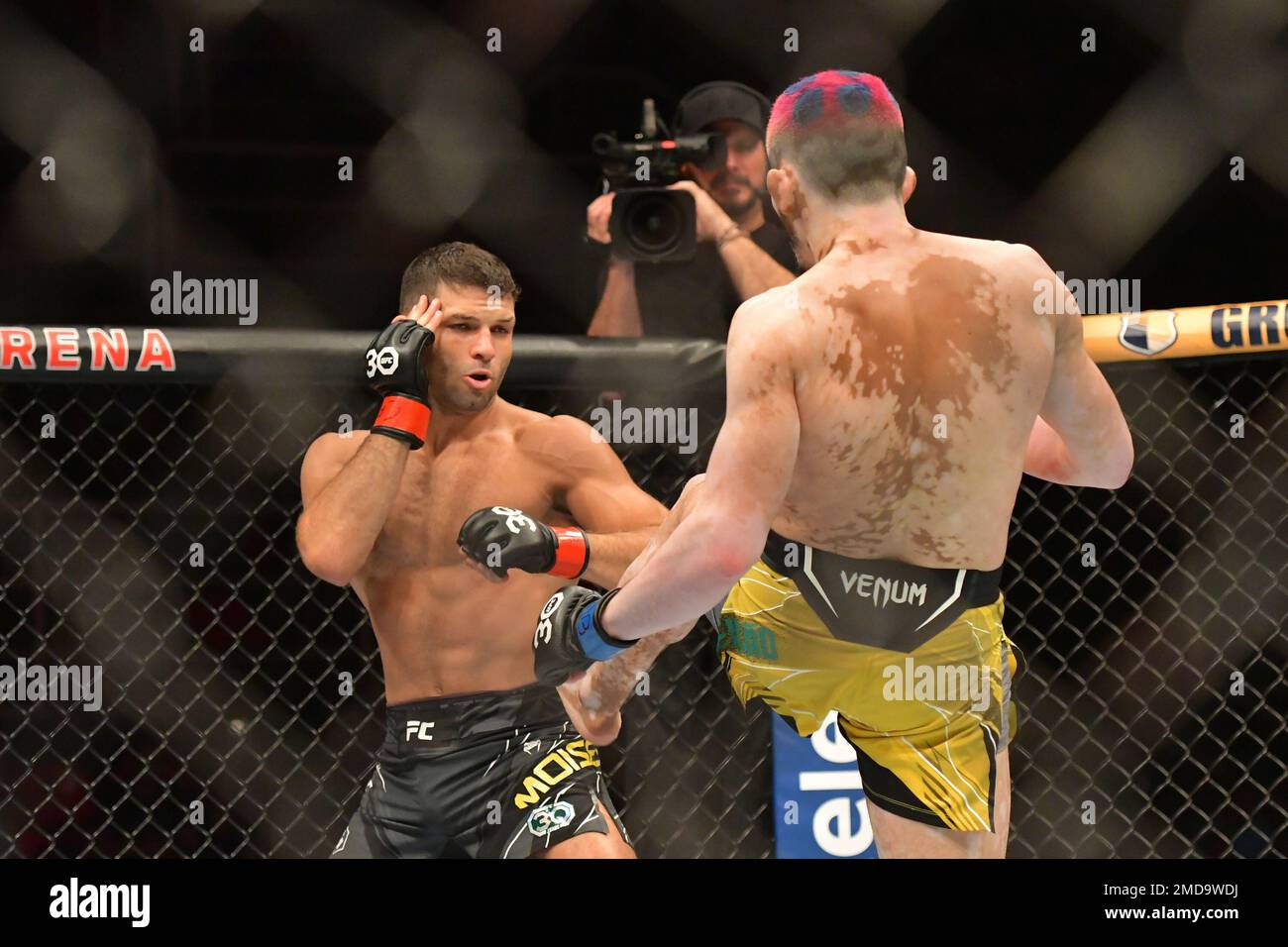 RIO DE JANEIRO, RJ - JANUARY 21: Thiago Moisés (red gloves) battles ...