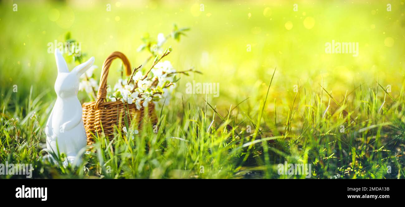 Rabbit hunt australia hi-res stock photography and images - Alamy