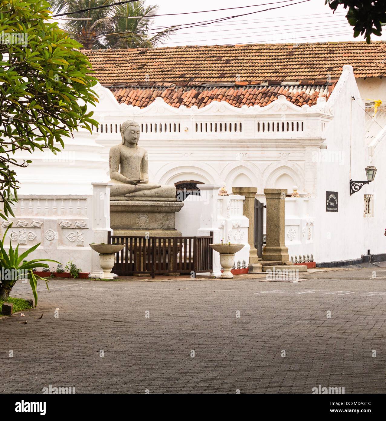buddha statue inside galle fort temple. attractive calm environment ...