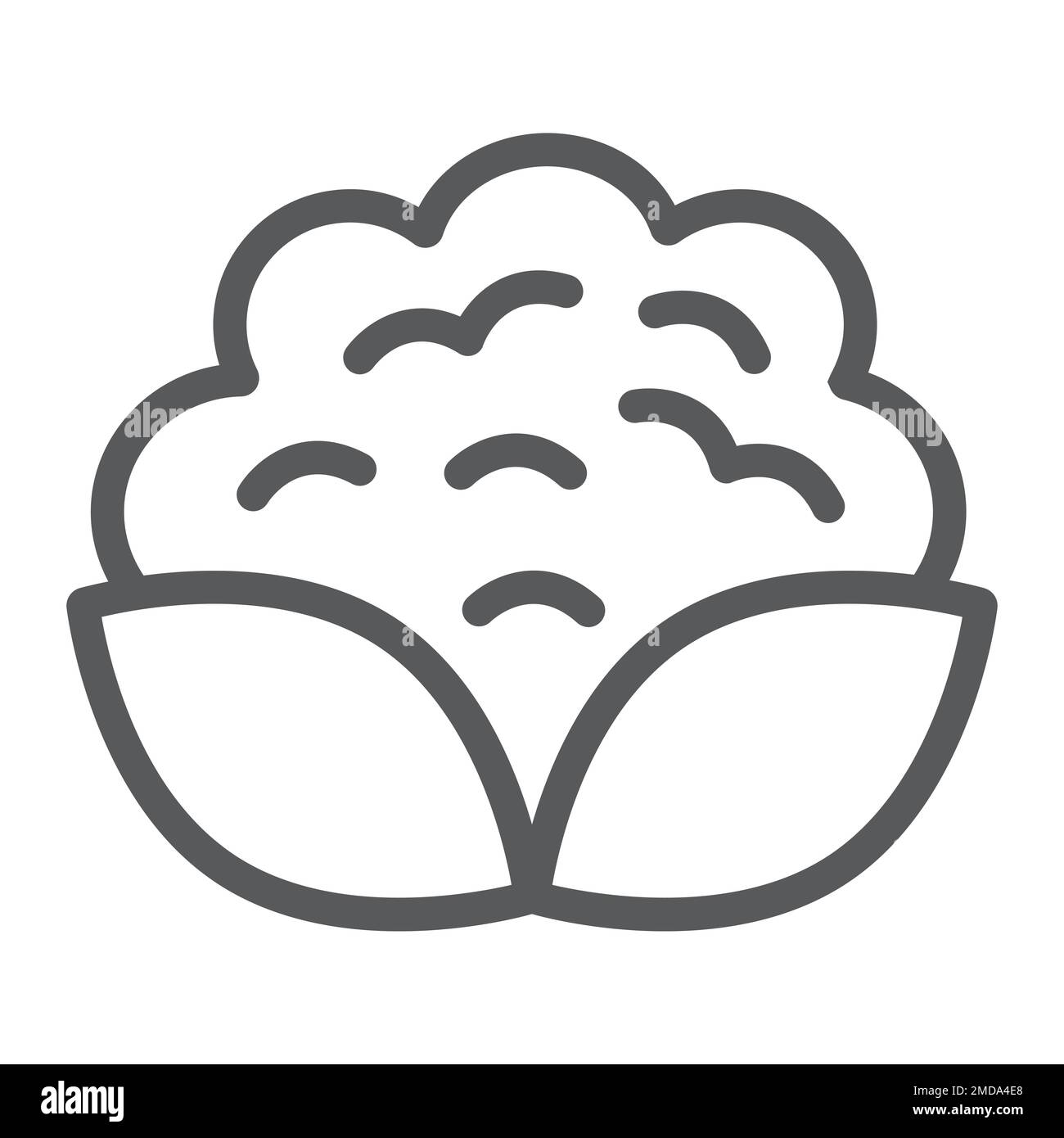 Cauliflower line icon, vegetable and diet, vegetarian sign, vector ...