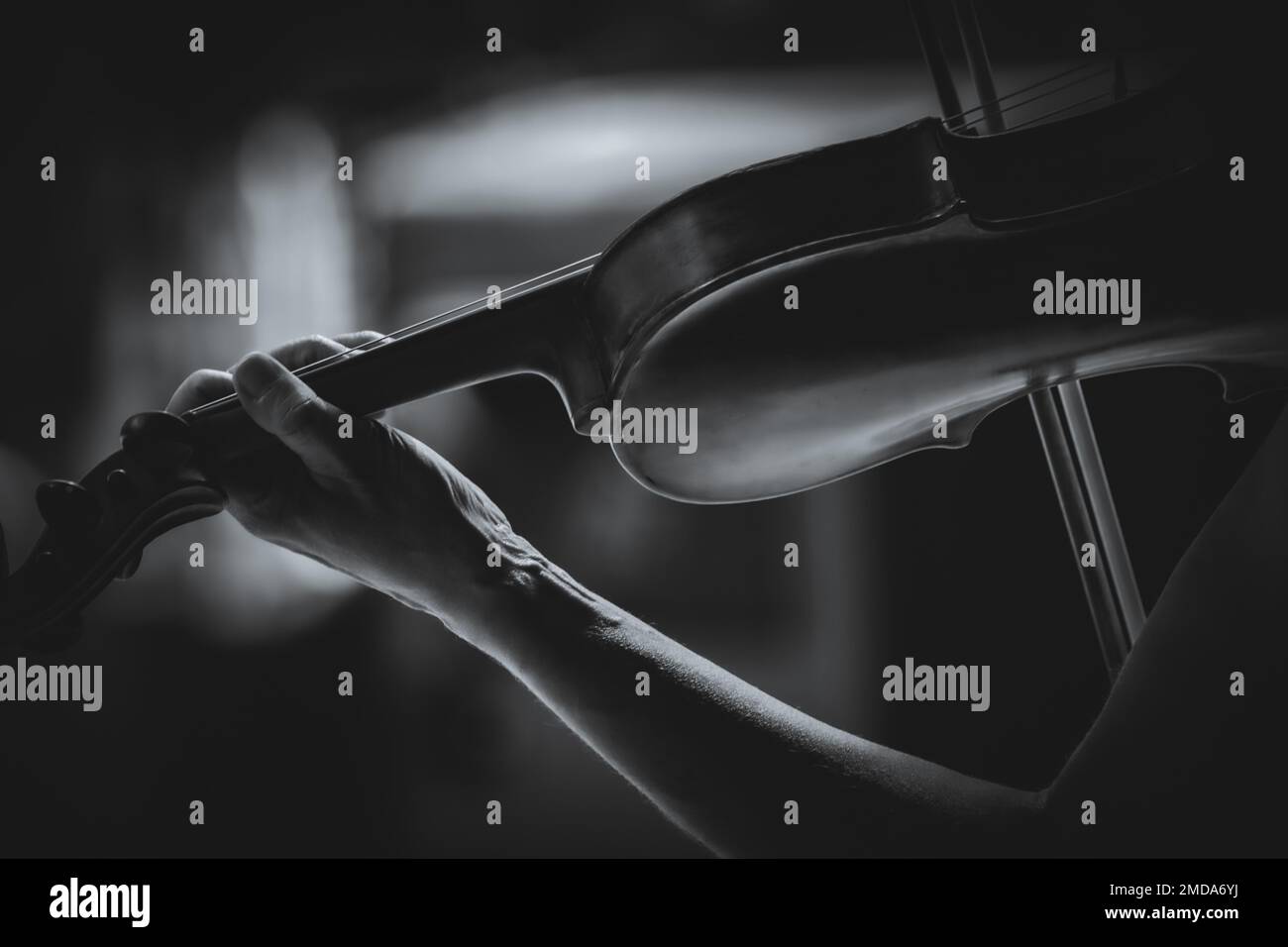 Low violin hi-res stock photography and images - Alamy